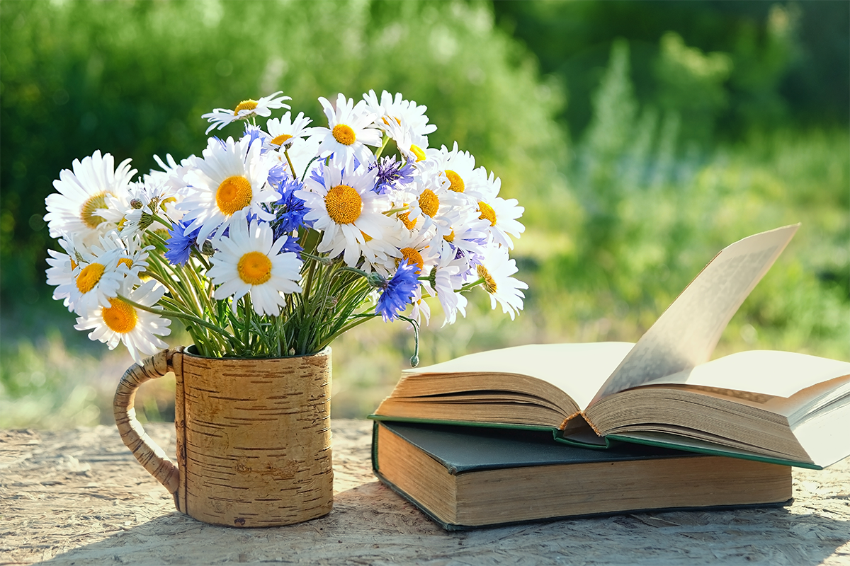 July Reading - Literary Adventures in July - A Book Geek