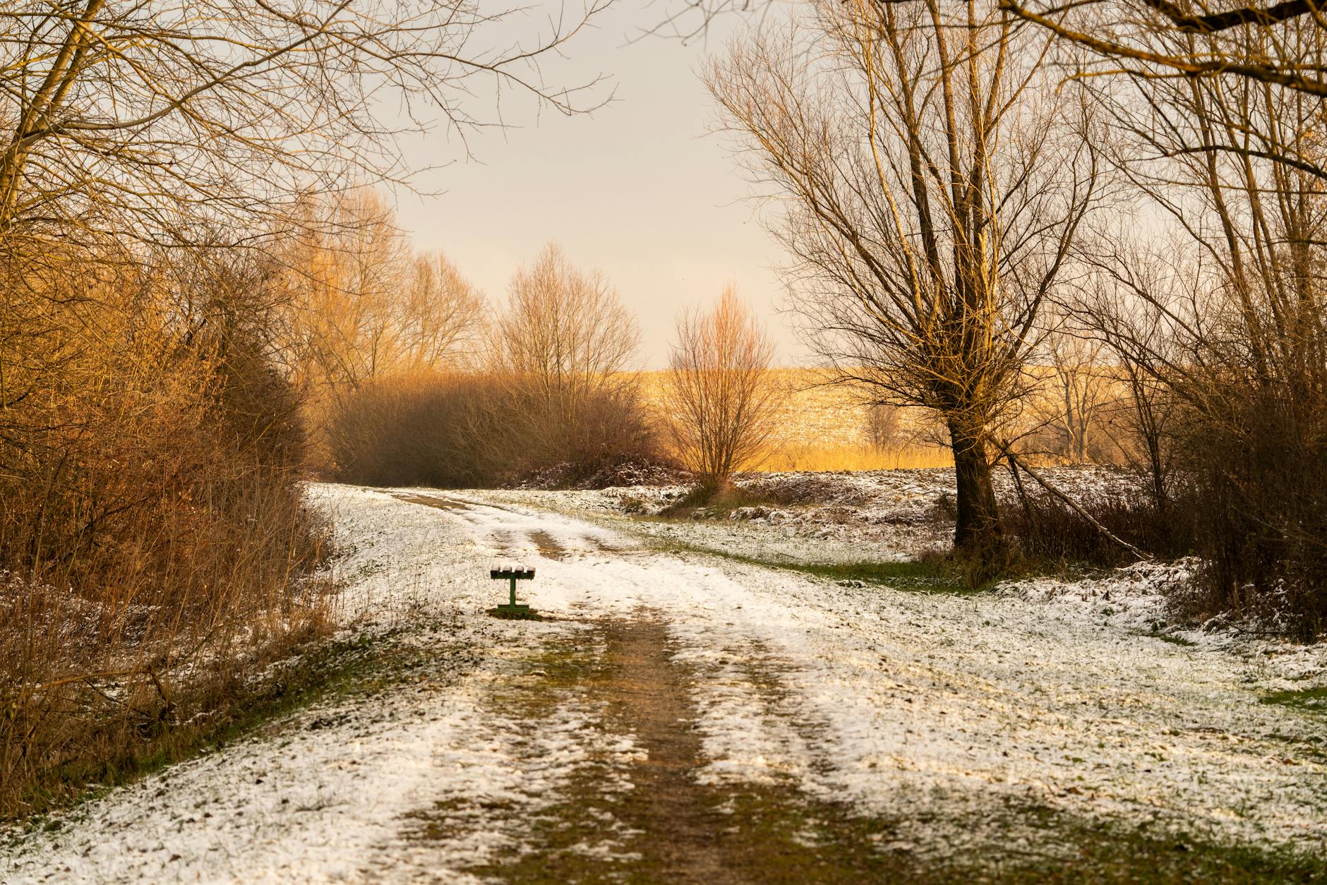 25 Inspiring January Quotes to Kickstart Your Year
