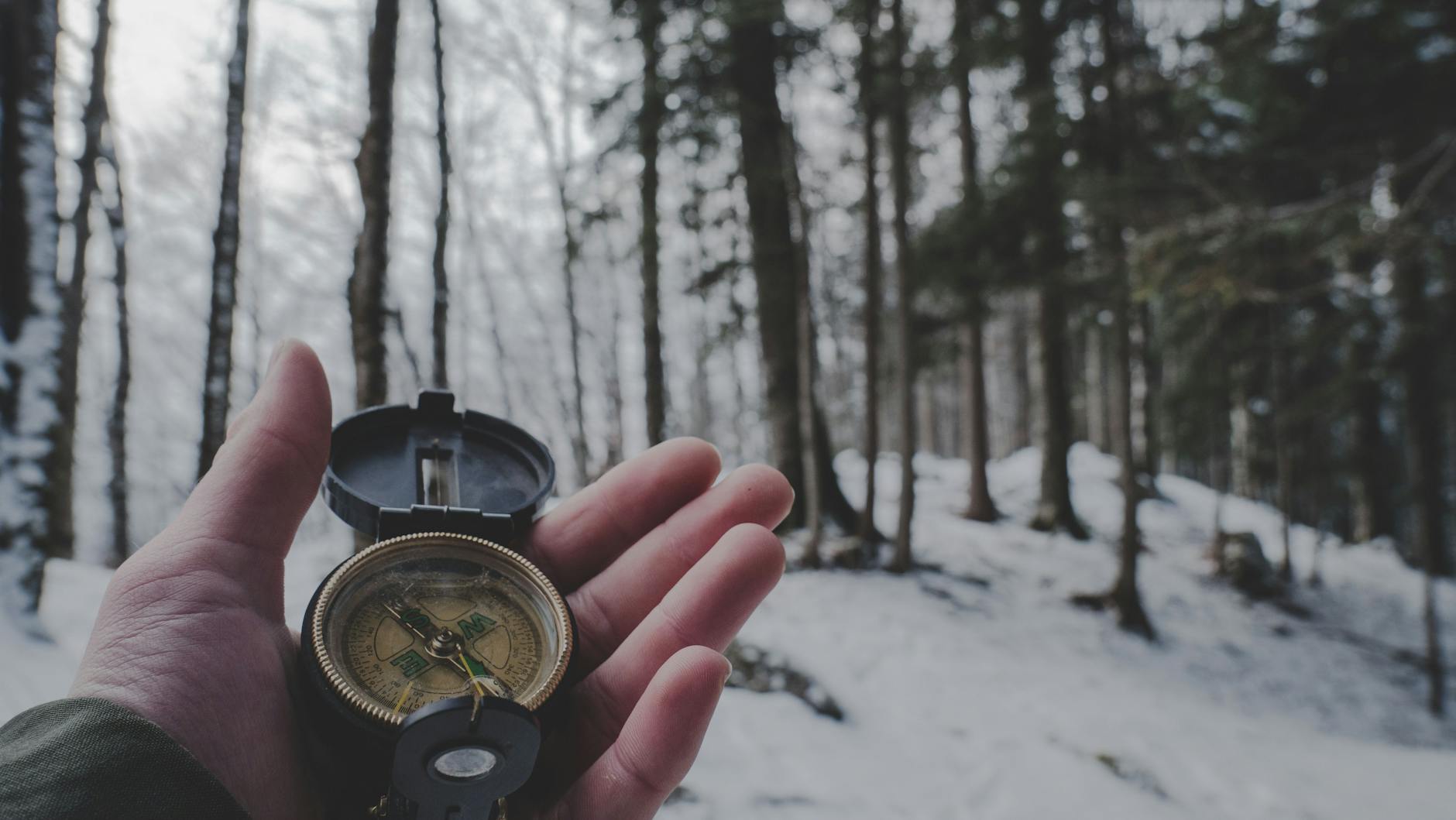Robert Frost: The Poet Who Shaped America’s Literary Soul