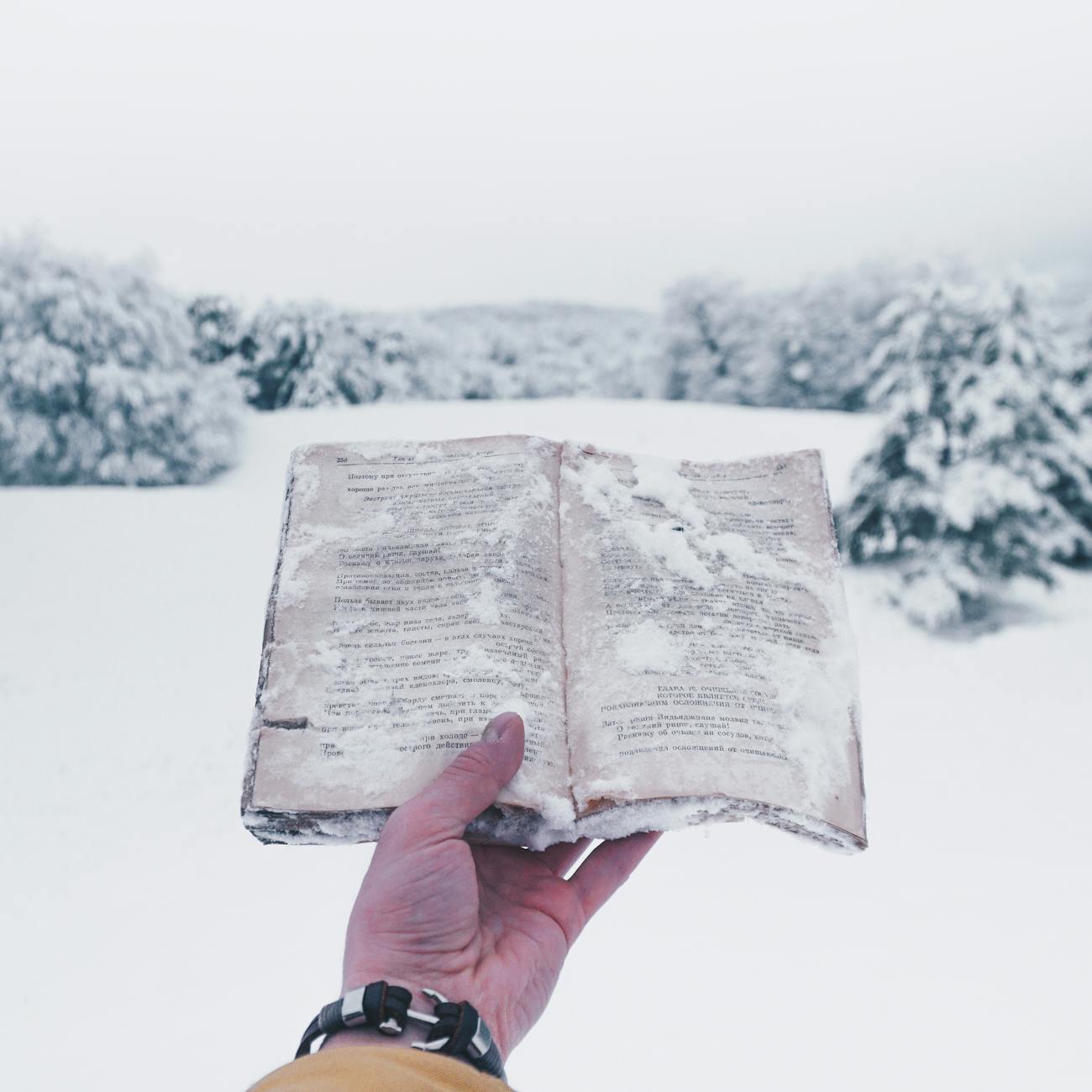 Emily Dickinson's Relationship with the Winter Solstice